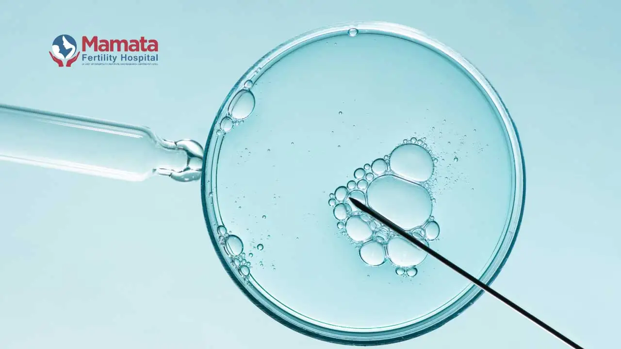 IVF Procedure Pain: Truths You Should Know