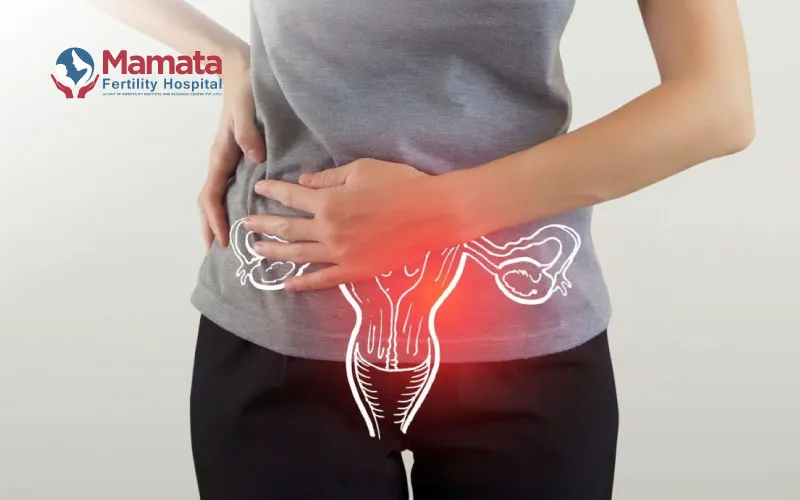 Uterine Fibroids and Heavy Bleeding: Causes & Symptoms